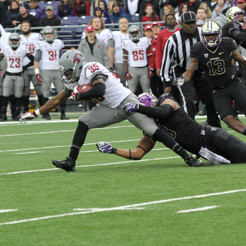 2013 Apple Cup Pictorial Highlights - The Seattle Medium