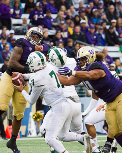 Highlights From The Washington - Portland State Football Game - The ...
