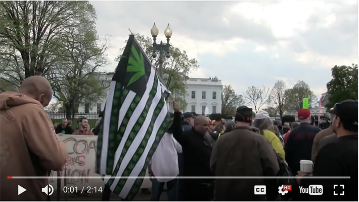 And Weed For All: The Man Behind DC's Marijuana Movement - The Seattle ...