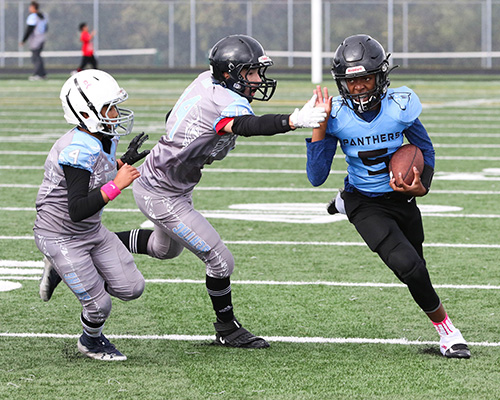CD Panthers 12U Look Playoff Ready In Victory Over The Seatac Sharks ...