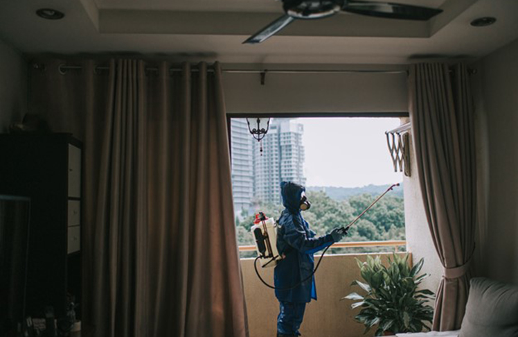 Bugs Inside? Try These Tips To Pest-Proof Your Home - The Seattle Medium