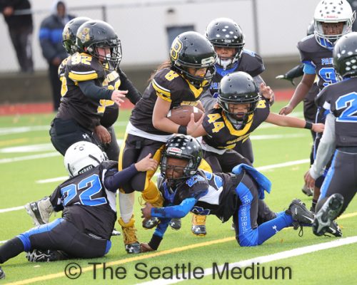 Panthers Claim 7U Championship With 12-7 Win Over Benson - The Seattle ...