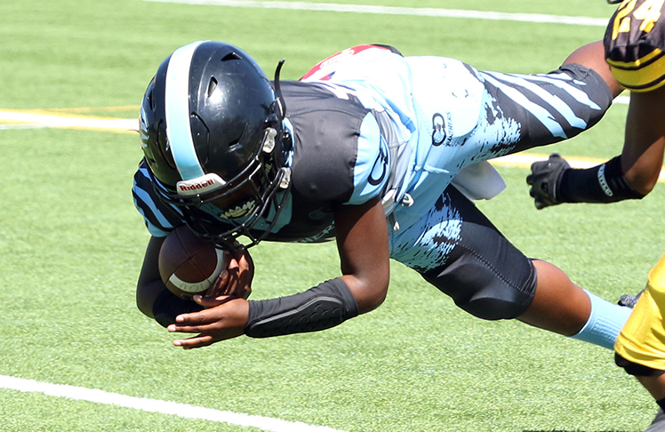 Northwest Premier Junior Football League 10U Division - The Seattle Medium