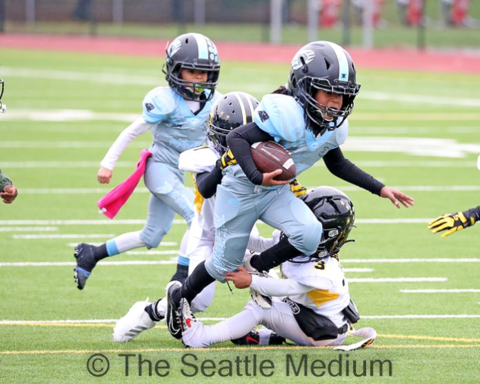 Benson Bruins Win NWPJFL 6U Championship - The Seattle Medium