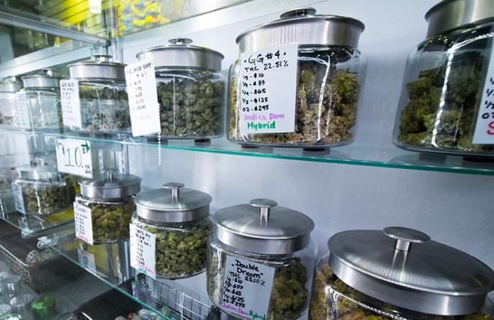 Cannabis Equity Summit Aims To Help 40 New Retail Store Owners Enter The Cannabis Industry - The ...