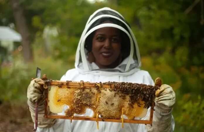 Black Beekeepers Are Reclaiming Their Relationship With The Land - The ...