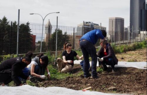 Non-Profit Farms Support Food Insecure Communities In Long-Term Ways ...