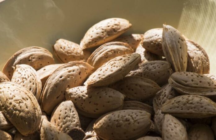 Feeling Nutty? Here’s Why You Should Add Nuts to Your Diet - The ...