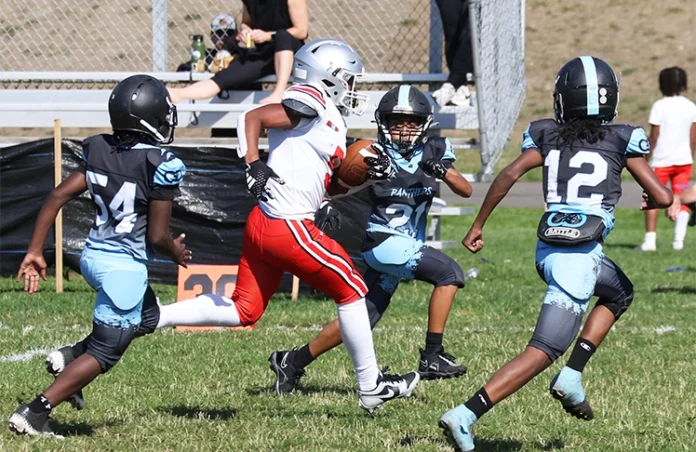 Northwest Premier Junior Football League 12U And 14U - The Seattle Medium