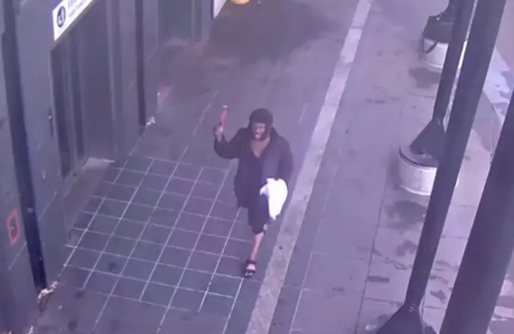 Man Arrested In Light Rail Hammer Attack - The Seattle Medium