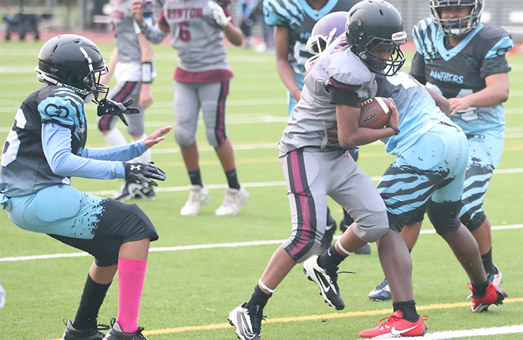 NW Premier 12U And 14U Scores And Highlights - The Seattle Medium