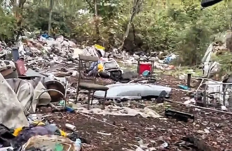 Washington State Patrol Uncovers Body of Missing Woman - The Seattle Medium