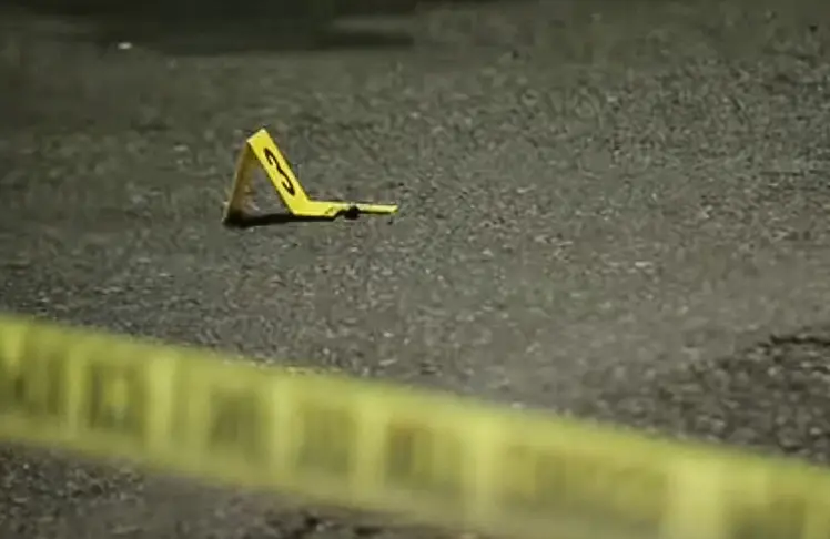 Seattle's 2024 Homicide Rate Exceeds National Average - The Seattle Medium