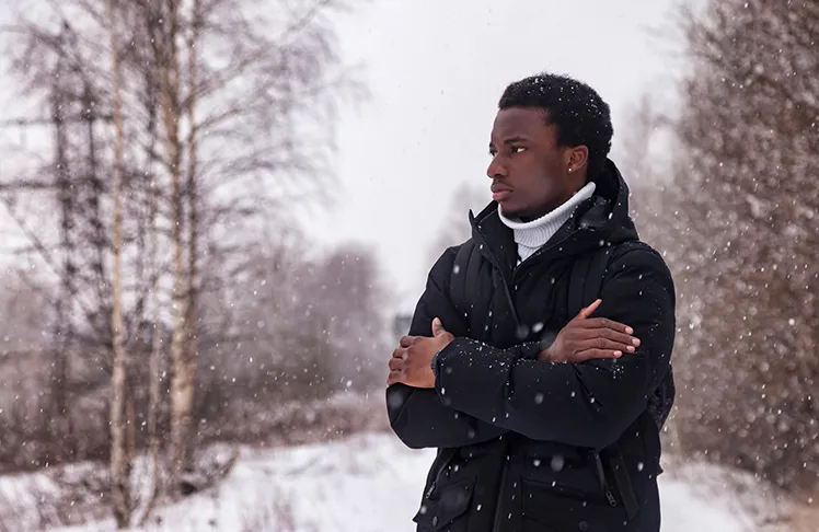 Polar Vortex Disruption Signals Cold December Ahead - The Seattle Medium